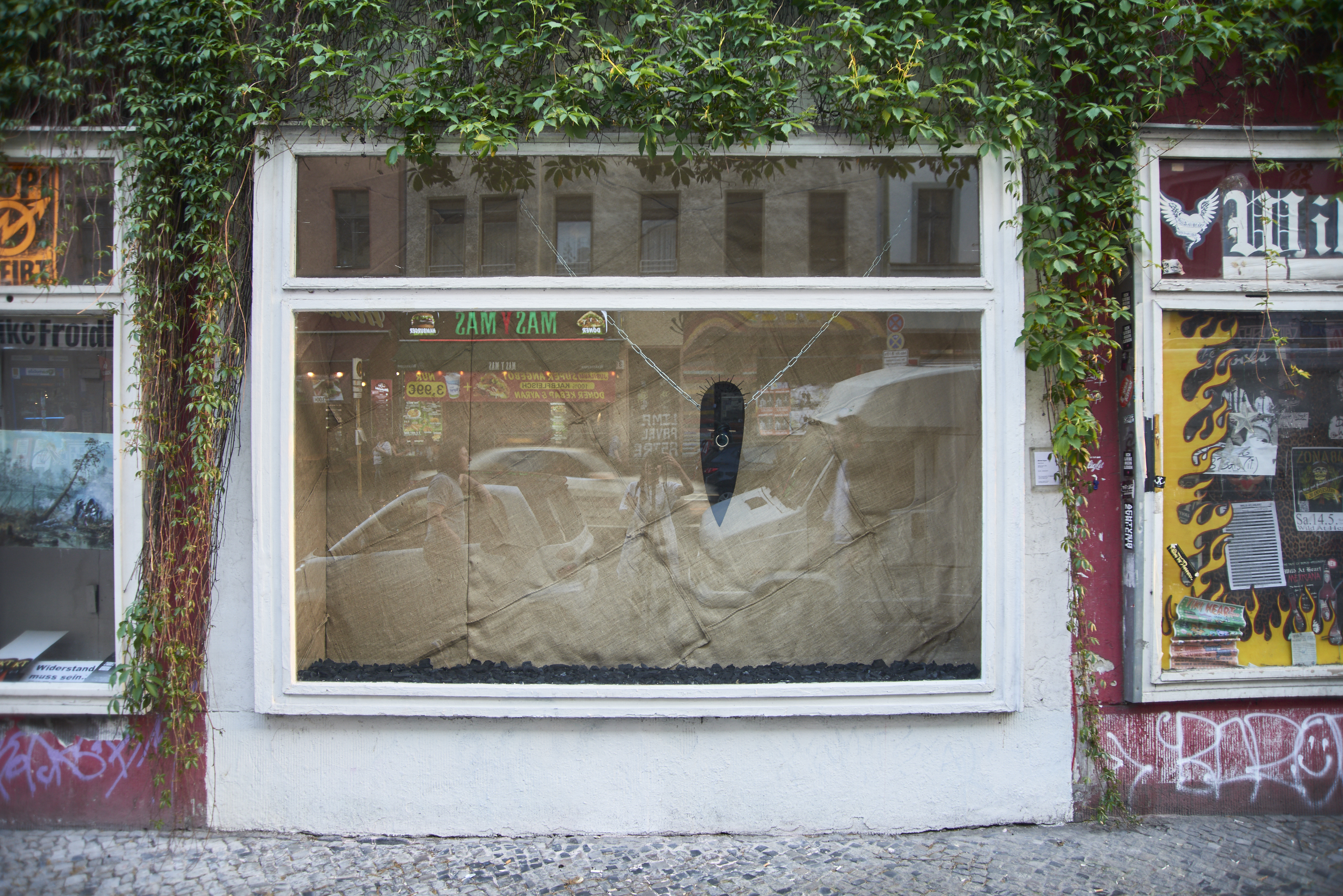 Michael Sayles • SOX